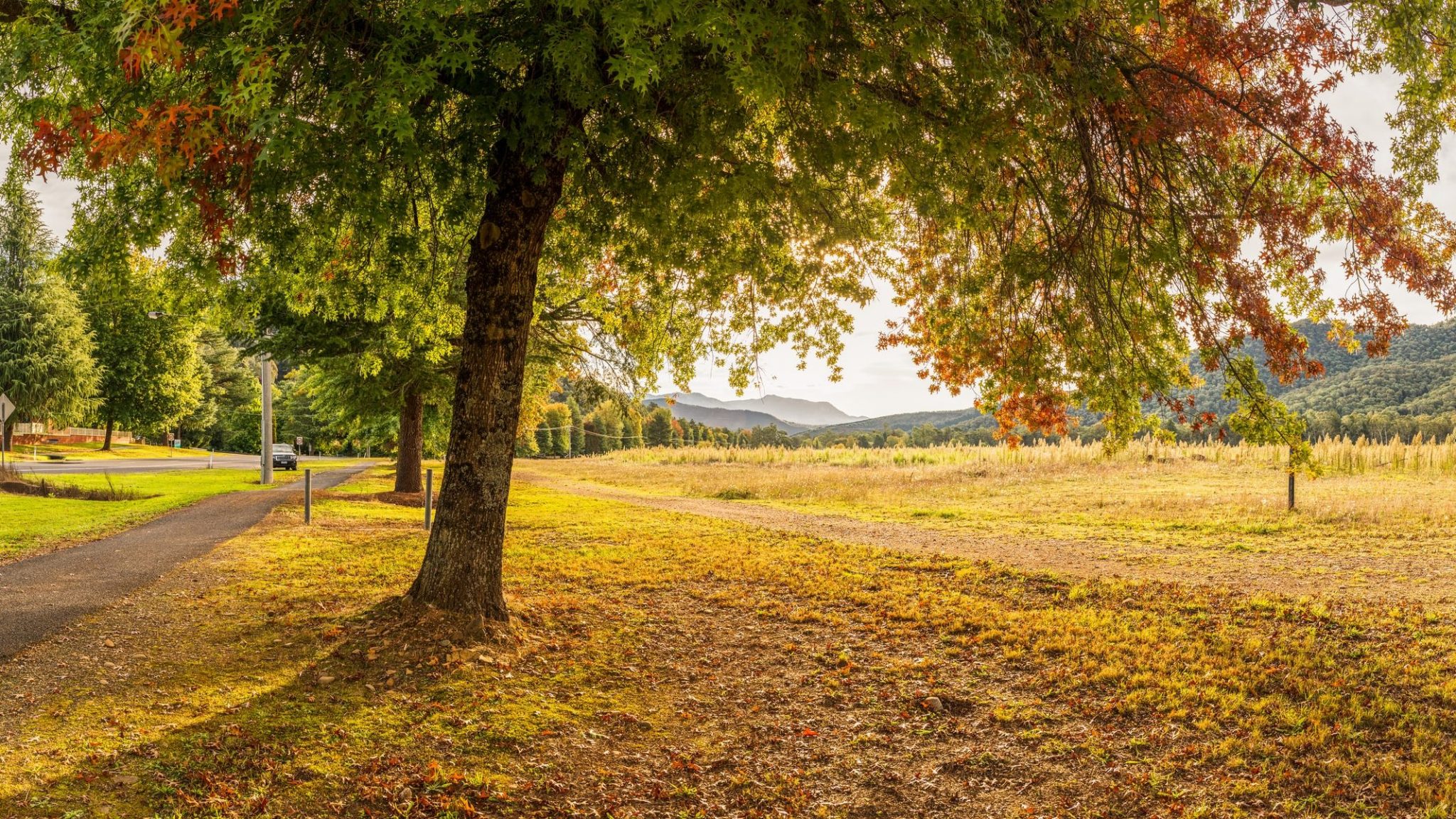 Best Places To Visit In Australia in Autumn | Autumn Holiday Guide