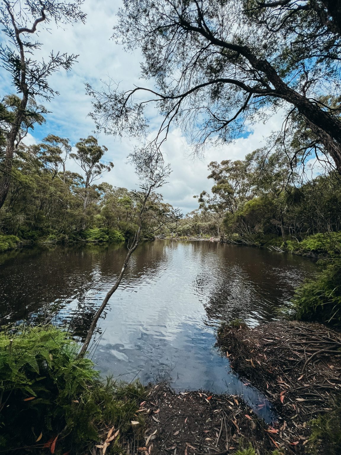 Best Natural Swiming Pools & Waterfalls Near Sydney | Carrington Falls