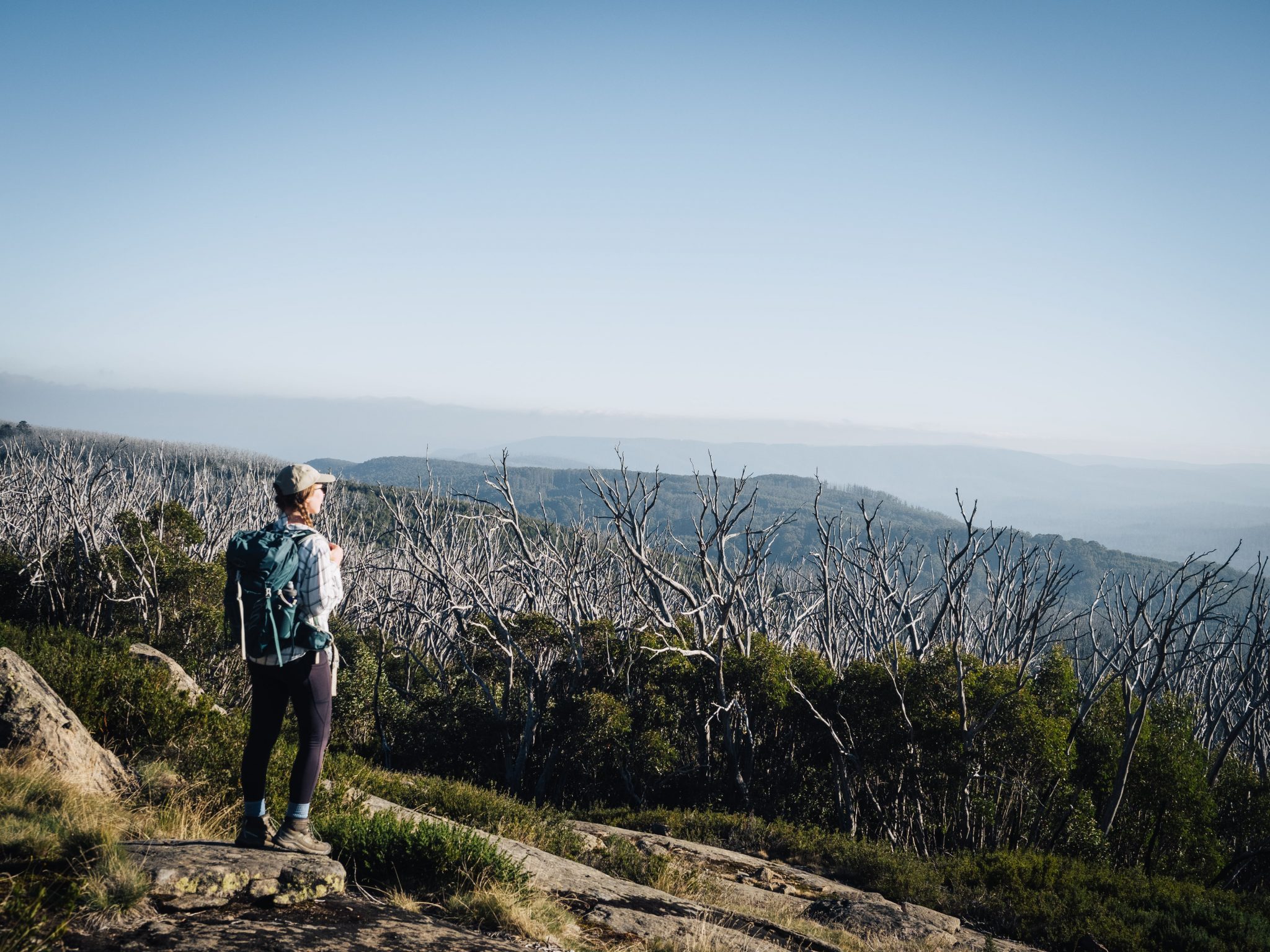 Expert Guide to Yarra Ranges National Park | What to Do and See | Webjet