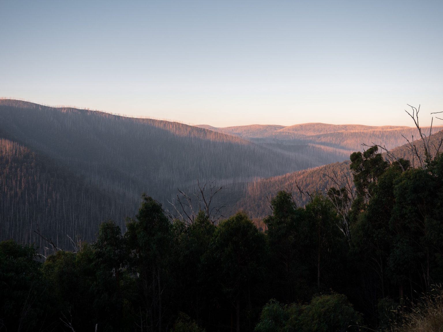 Expert Guide to Yarra Ranges National Park | What to Do and See | Webjet